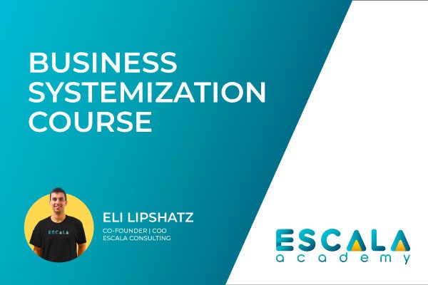 Business Systemization Course
