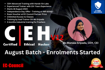Certified Ethical Hacker v12 Training and Practical Course