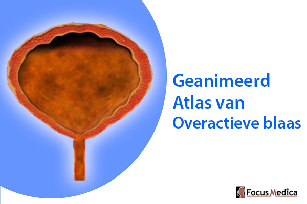 FM Healthcare courses courses