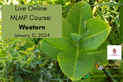 Monarch Joint Venture courses