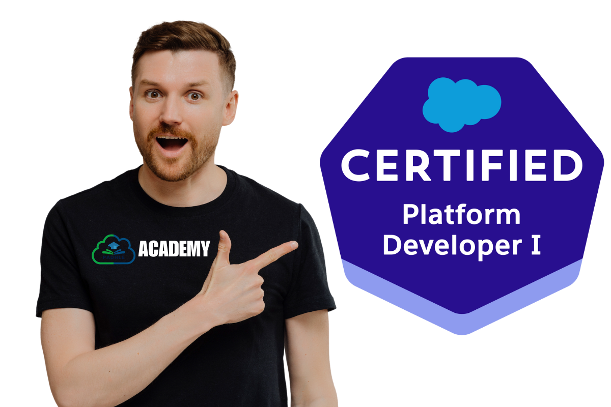 Salesforce Platform Developer 1 Exam Practice Sets