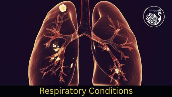 Varmam the Complete Touch Therapist Course: From Basics to Clinical ...