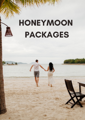 Honeymoon Packages Module