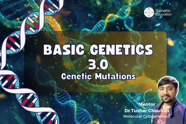 Genetic basics 3.0- Genetic Mutations
