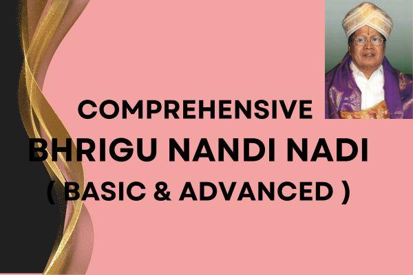 Comprehensive Bhrigu Nandi Nadi ( HINDI )