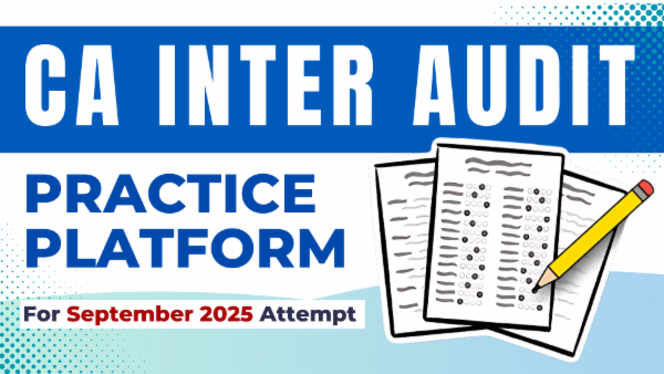 CA Inter Audit