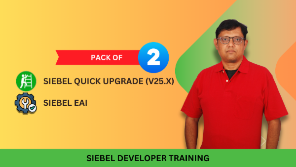 Siebel Training by PV Chandra courses