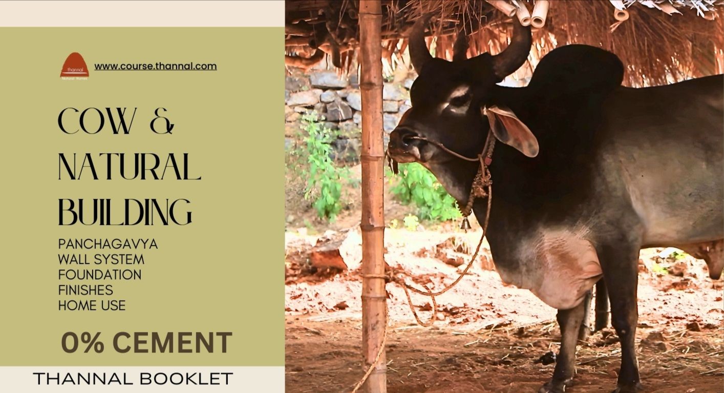 Cow and Natural Building