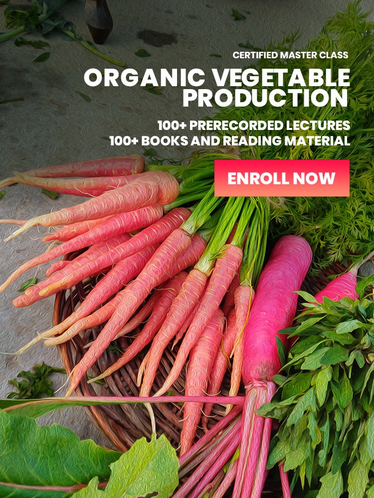 Organic Acre Institute