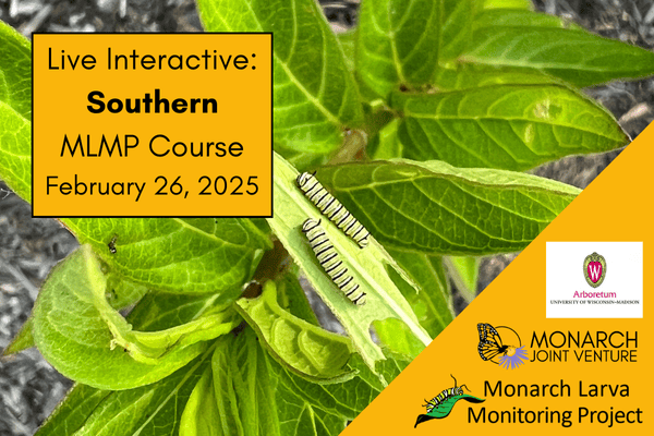 Monarch Joint Venture