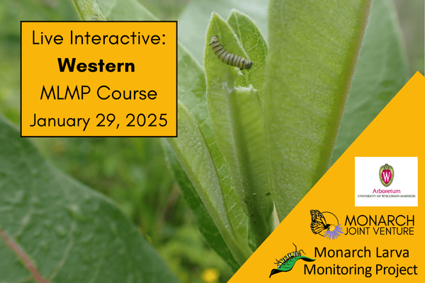 Monarch Joint Venture