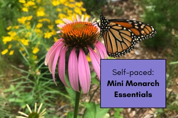 Monarch Joint Venture