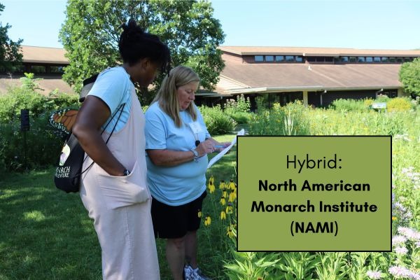 Monarch Joint Venture