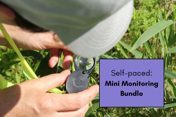 Monarch Joint Venture