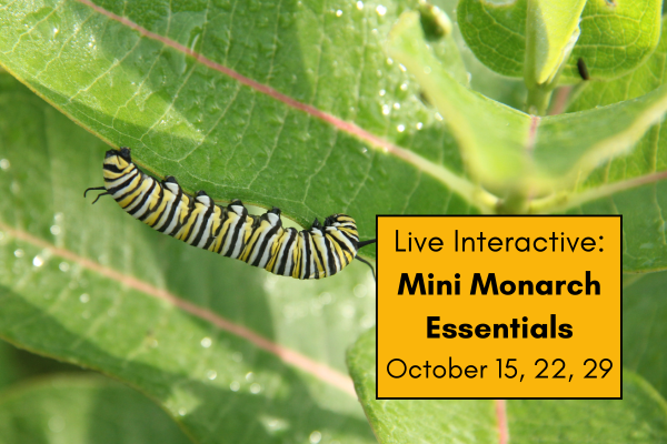 Monarch Joint Venture